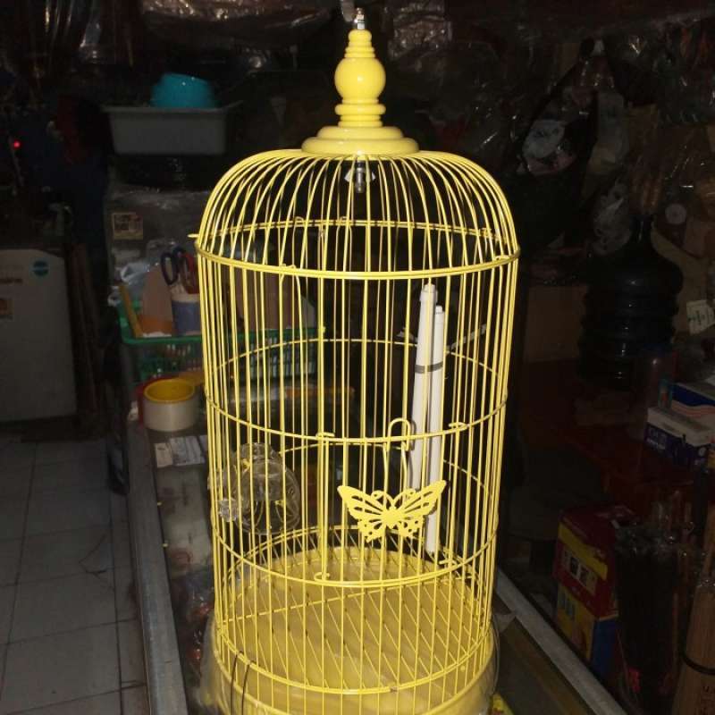 Jual Sangkar Besi Buat Burung Kecil Dari Octagon di Seller DENTA PET ...