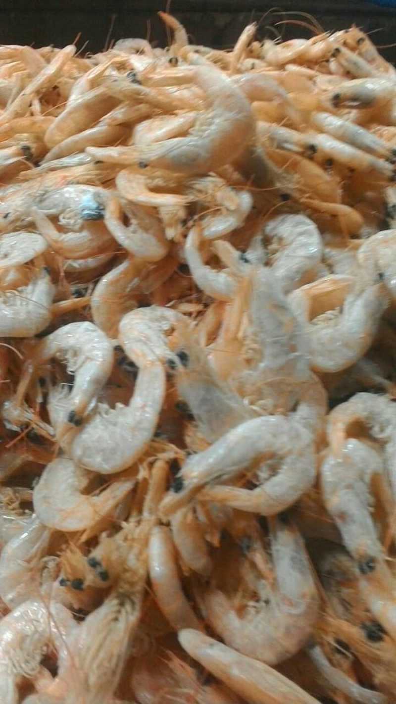 Jual Udang Manis Khas Medan Halal Di Seller Andaliman Raya - Senen ...
