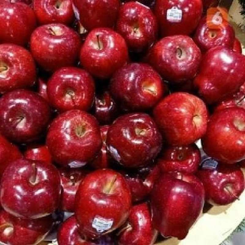 Jual Apel Washington Buah Segar Bandung di Seller X-Tralen Shop - Kota ...
