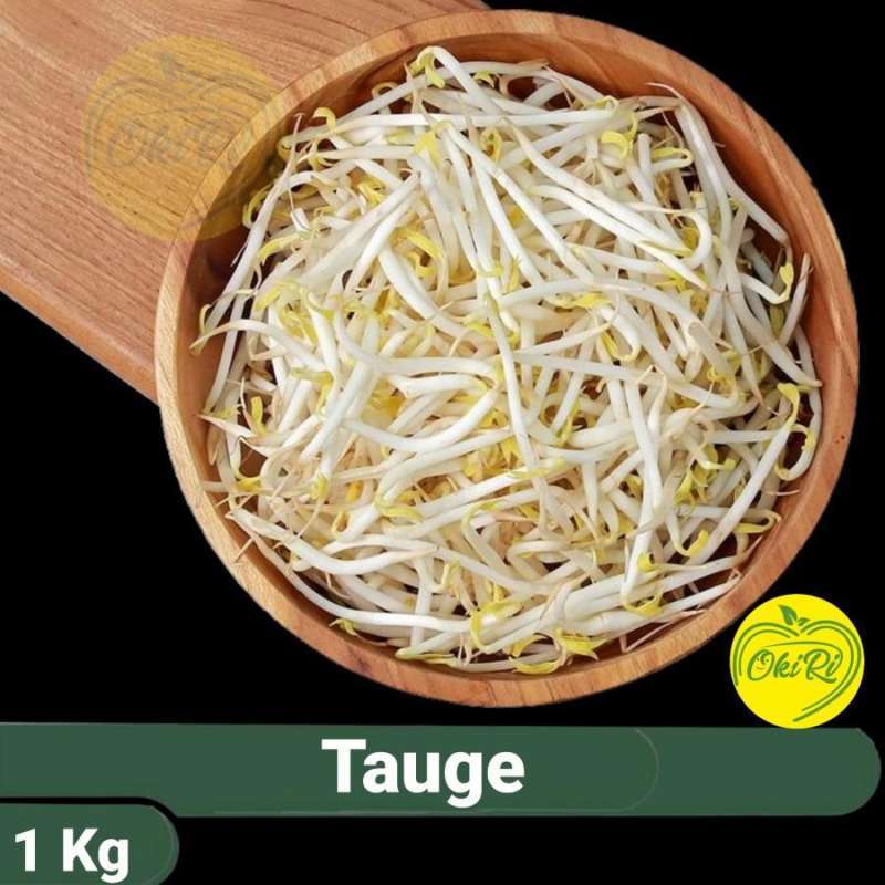 Jual Toge Pendek , Tauge Goreng Di Seller Okiri Tangsel - Benda Baru ...