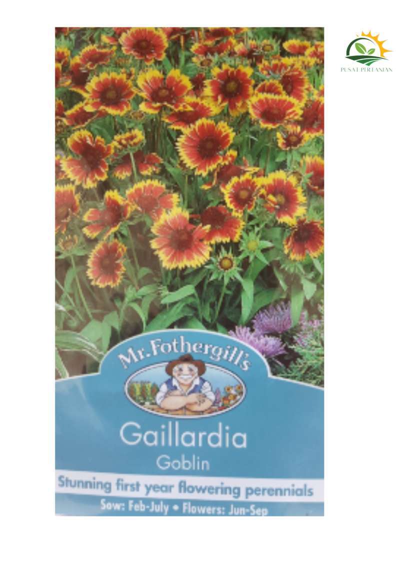 Jual Tanaman Gaillardia Original Murah - Harga Diskon Juli 2024 ...