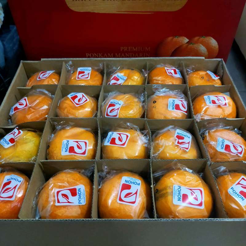 Jual Jeruk Ponkan 40 Butir Premium Hampers Imlek Gift Halal Di Seller ...