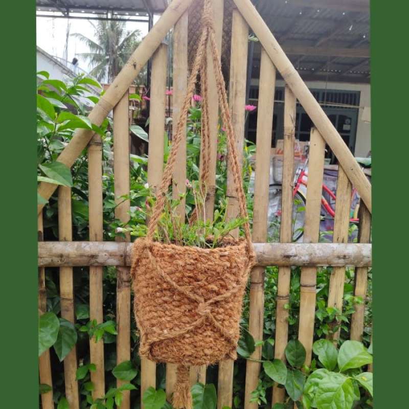 Promo pot gantung JUMBO 20x20 bunga anggrek sabut kelapa Murah Diskon ...