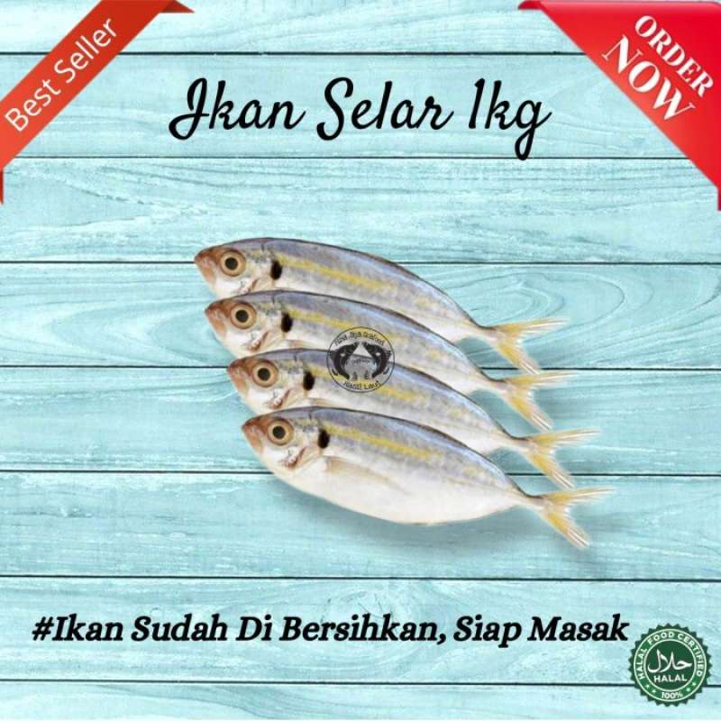 Jual Ikan selar segar | ikan segar laut - kecil - Kecil di Seller Mina ...