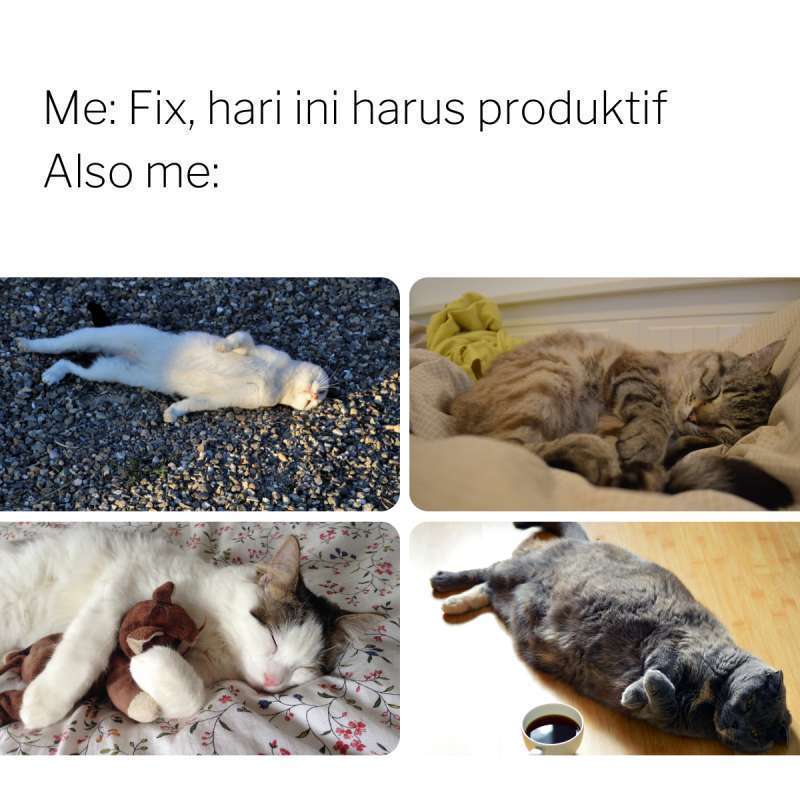 Jual Link Download SketchUp Pro 2020 Full Version 64 bit Editor Gambar ...