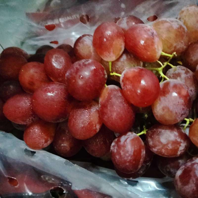 Jual Anggur Merah Ralli Red Seedless Grapes Grape Treasure AUSTRALIA ...