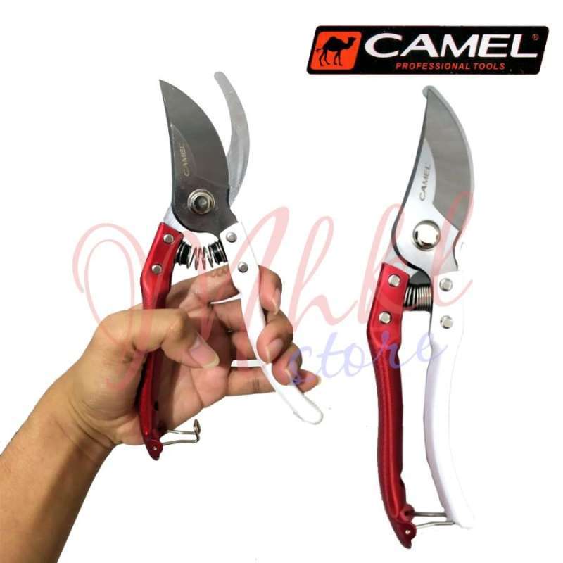 Jual Camel Gunting Dahan Kebun Daun Tanaman Ranting Merah Putih 8 Inch ...