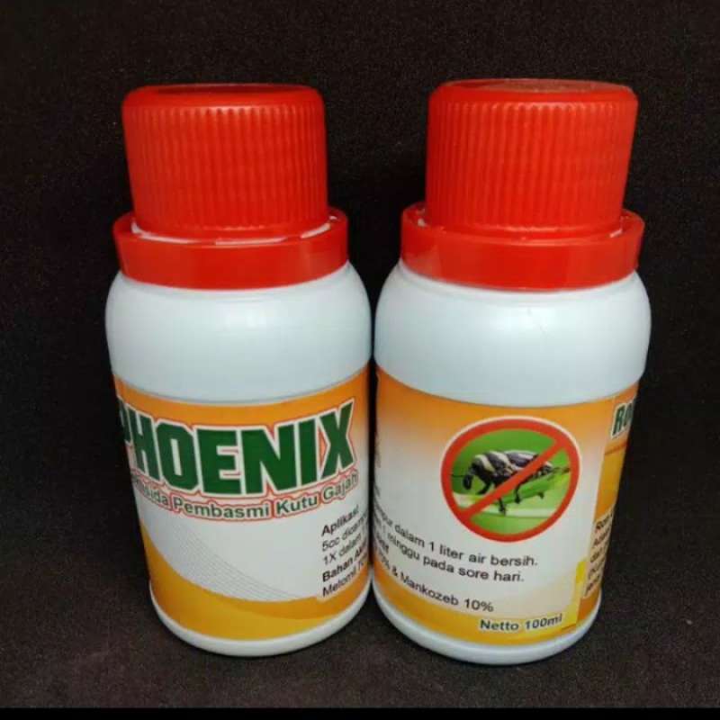 Jual Insectisida Pembasmi Kutu Gajah 'Phoenix' di Seller DENTA PET SHOP ...