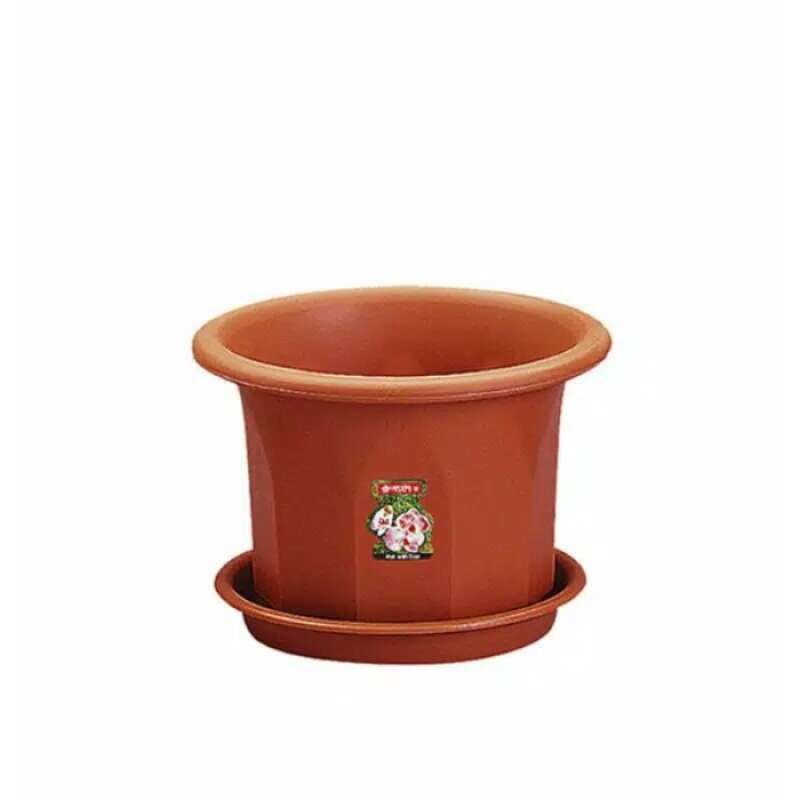 Jual Rose Pot Bunga Lion Star Fp Tanaman Tumbuhan Kembang Plastik ...