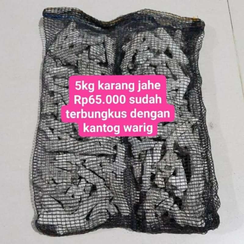 Jual Karang Jahe Media Filter Penstabil Ph Air Kolam Koi Isi 5Kg di ...