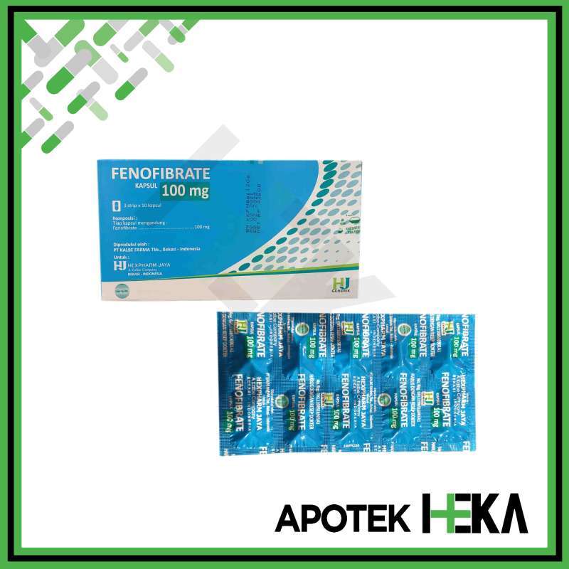 Jual Fenofibrate 100mg Box 30 Tablet Generik Hexpharm Jaya Obat ...