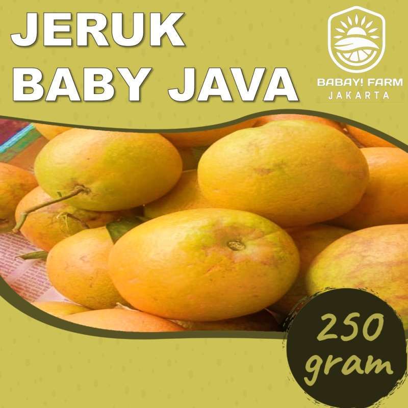 Jual Buah Jeruk Baby Java / Jeruk Peras Baby Di Seller Babay! Farm ...