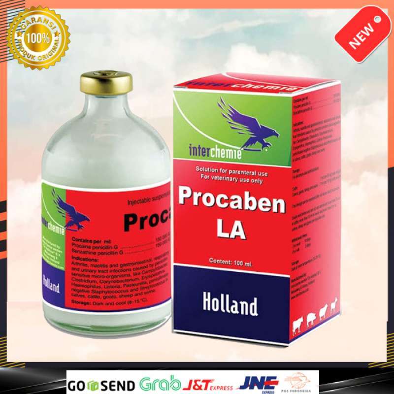 Promo Procaben-LA Pengganti Penstrep (ready for PMK FMD penyakit mulut ...
