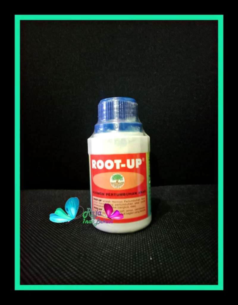 Promo ROOT UP 100 GRAM ASLI AKAR DAN HORMON PERTUMBUHAN AKAR Diskon 10% ...