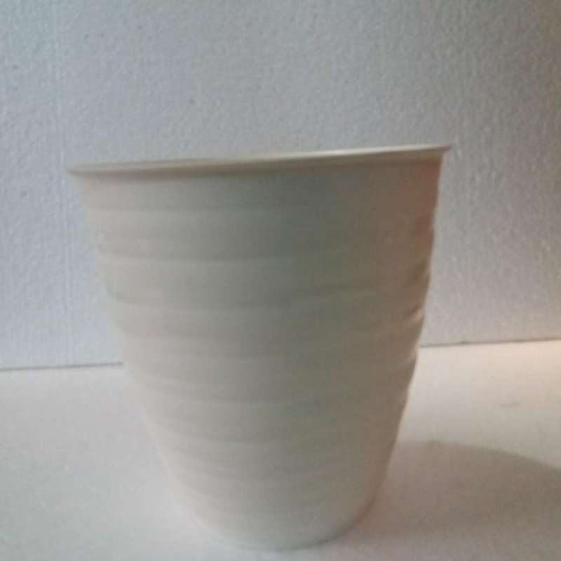 Jual Pot Tanaman Tawon Pirus 151 Putih di Seller Jasa Tukang Taman ...