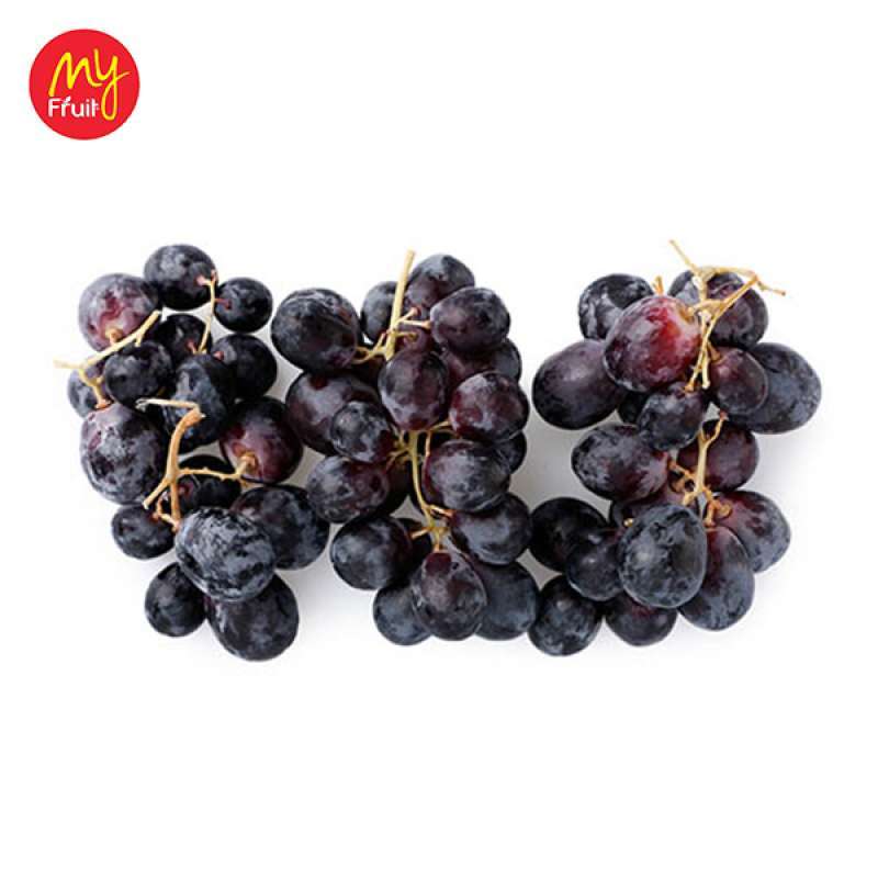 Jual My Fruit Anggur Hitam[500 g] di Seller My Fruit Official Store ...