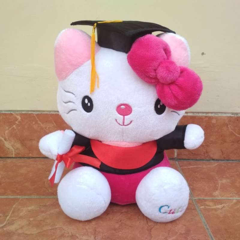 Jual BONEKA WISUDA TOGA SARJANA HELLO KITTY SOUVENIR LUCU di Seller ...