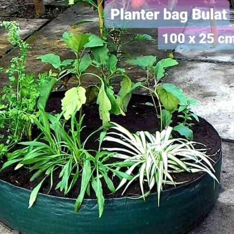 Jual Planter Bag Tanaman Bulat 100 x 25 cm Pot Planter Easy Grow di ...