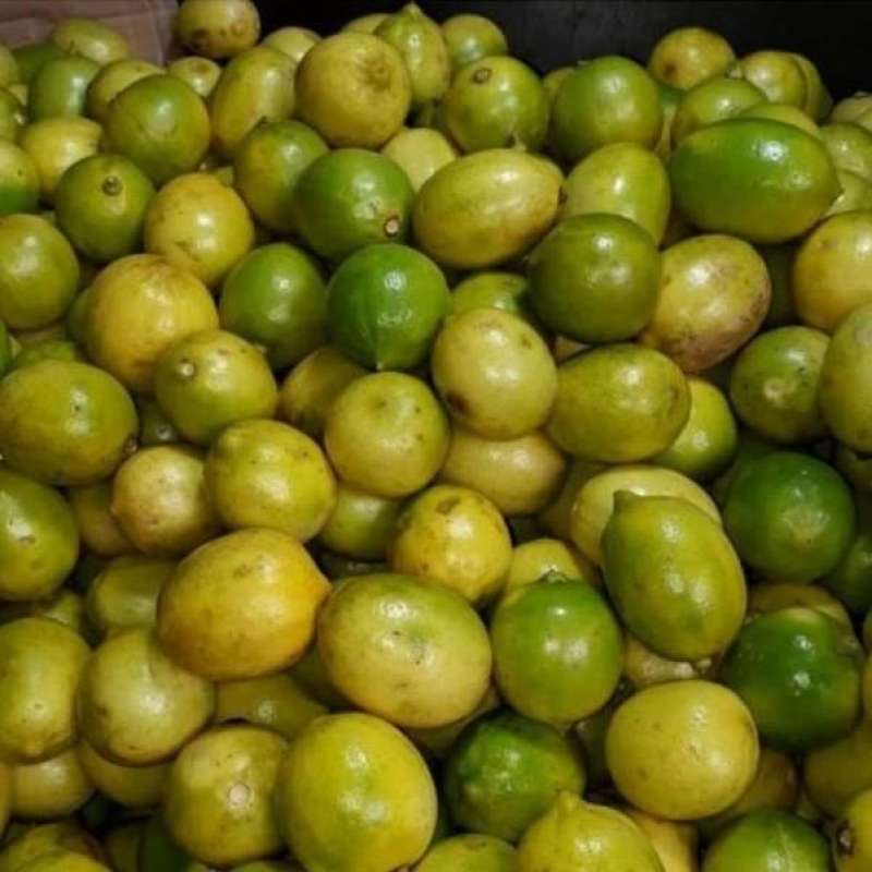Jual Lemon Lokal Segar 1 Kg 1 Kg Halal di Seller Masak Sayur Bandung ...