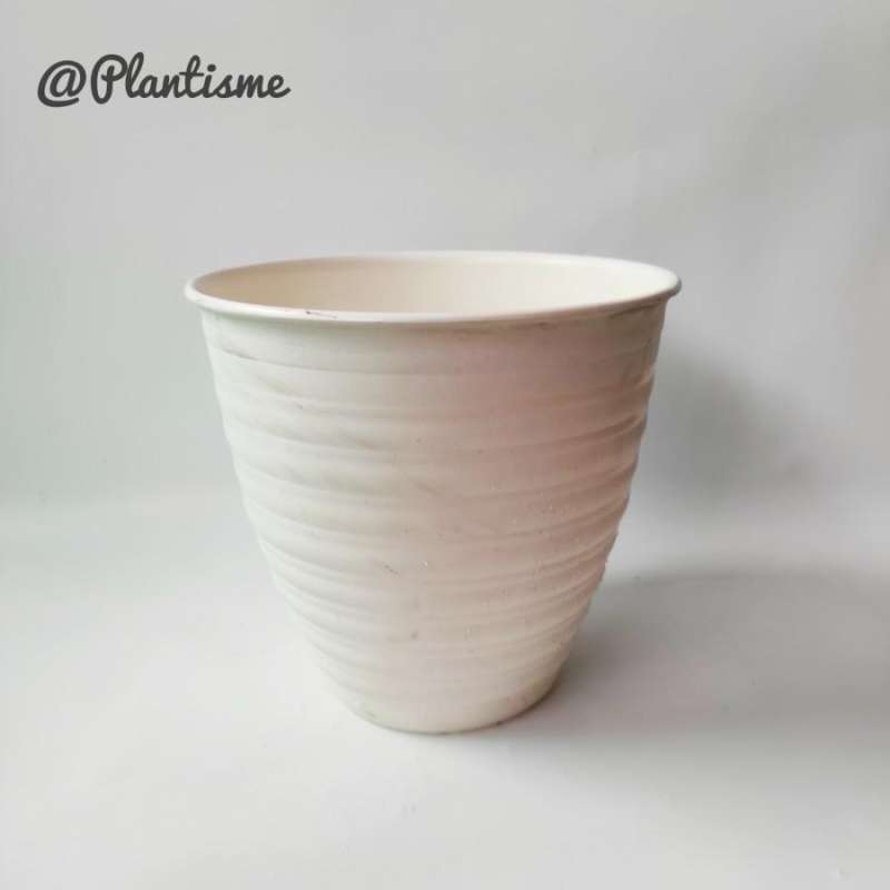 Jual Pot Tanaman Hias Buah Bunga - Tawon Putih Tinggi (D.35 T.33)cm di ...