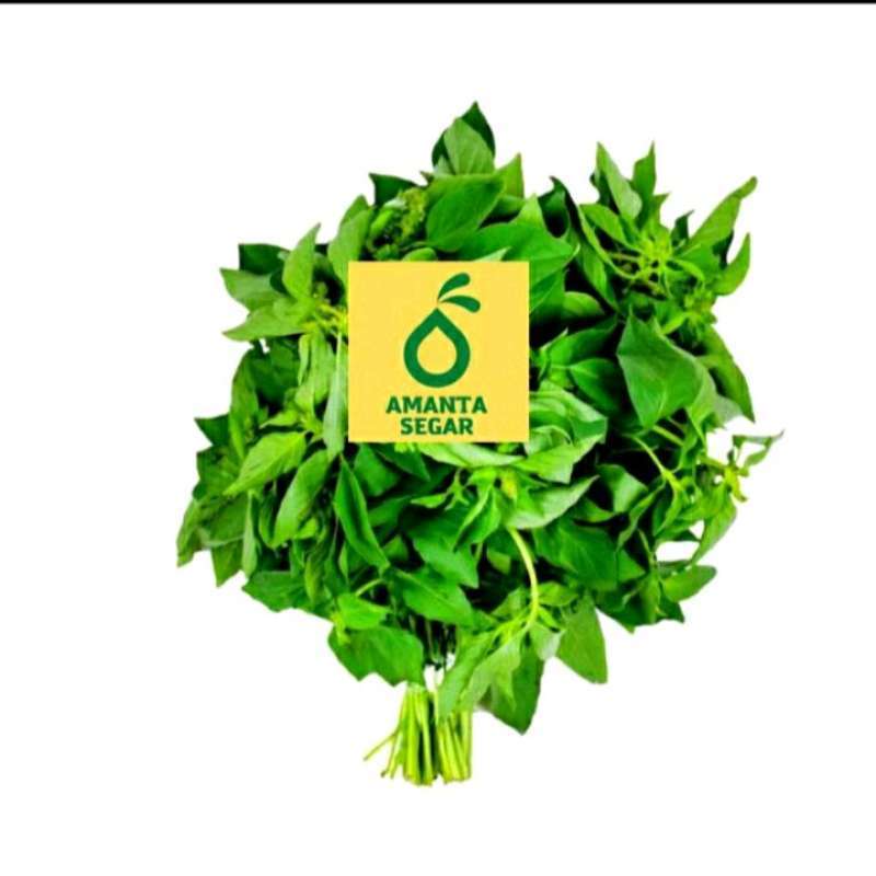 Jual Sayuran Sayur Dan Bumbu Dapur Daun Kemangi Segar Dan Fresh Ikat Halal Di Seller Amanta