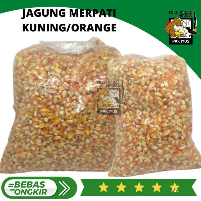 Jual Jagung Kuning Orange Kristal merpati jagung kecil untuk merpati ...