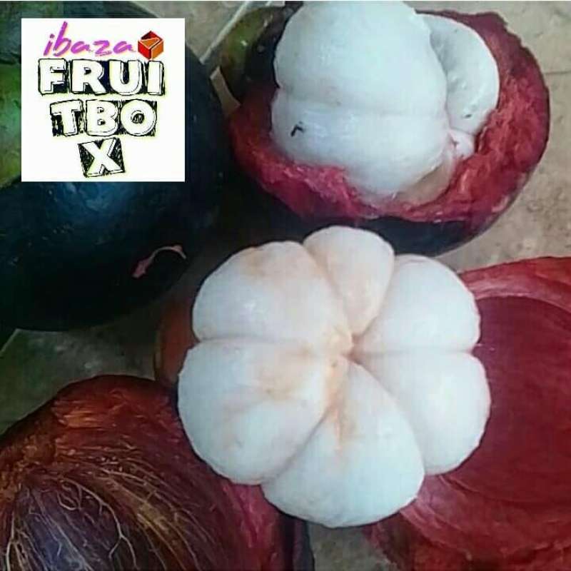 Jual Buah Manggis Manis 1kg - Buah Segar Ibaza Fruitbox - 1/2 Kg Di ...