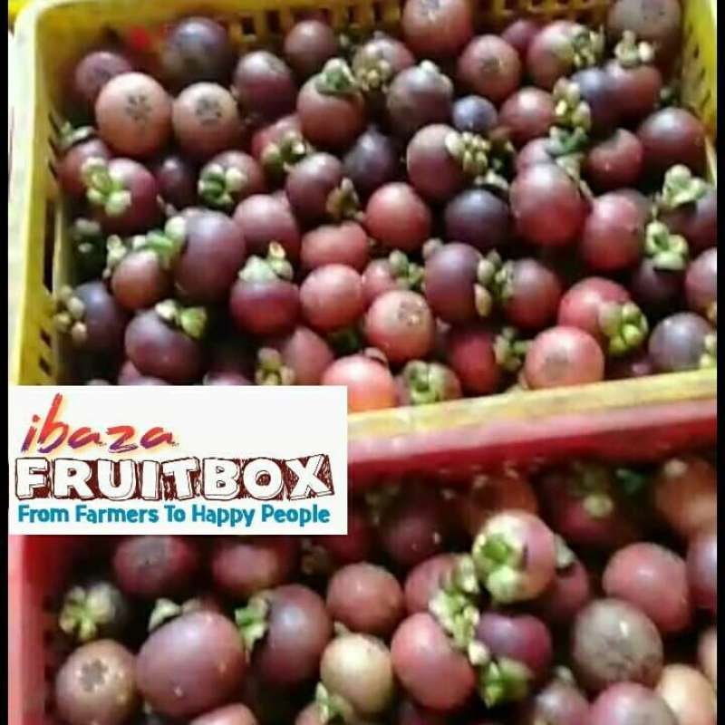 Jual Buah Manggis Manis 1kg - Buah Segar Ibaza Fruitbox - 1/2 Kg Di ...