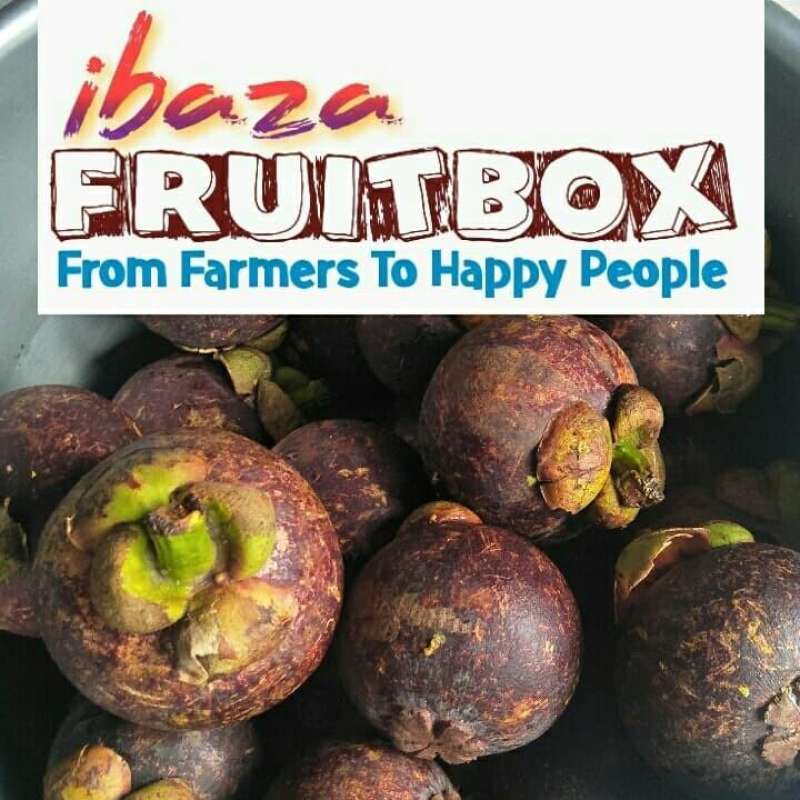 Jual Buah Manggis Manis 1kg - Buah Segar Ibaza Fruitbox - 1/2 Kg Di ...