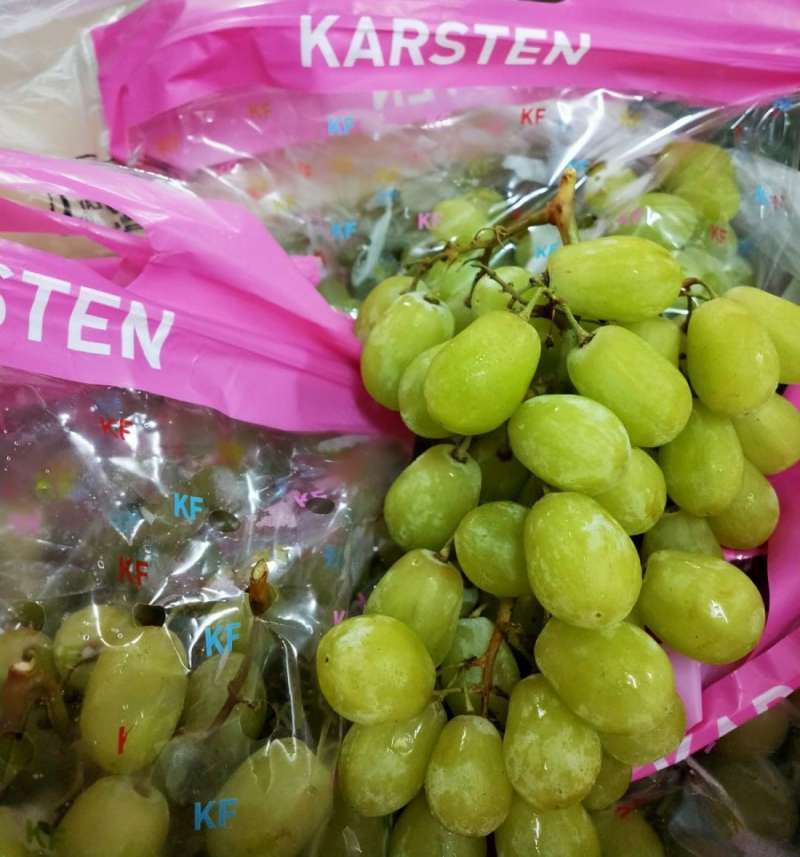 Promo HasilSumberalaM Anggur Hijau tanpa biji Green Seedless Grapes ...