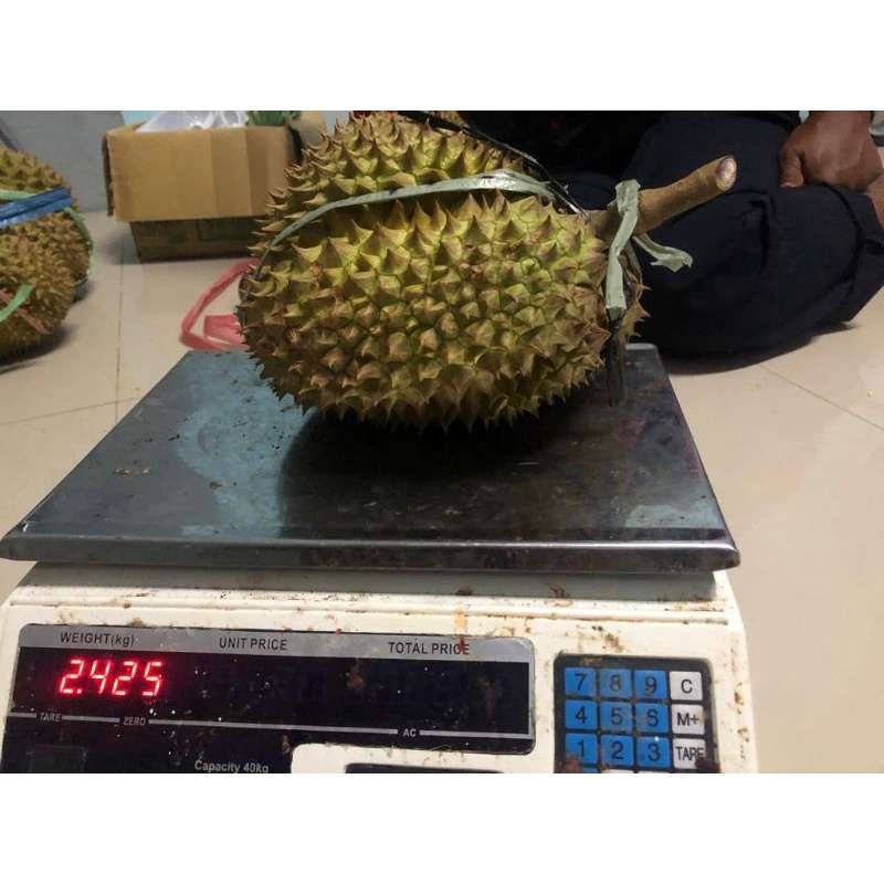 Jual Durian Montong Utuh Harga Per Kilo Di Seller Sima Kimchi - Peniwen, Kab. Malang | Blibli