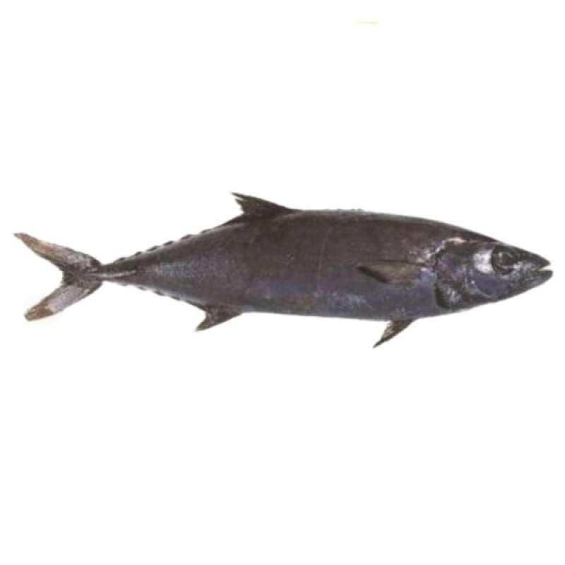 Jual GINDARA WHOLE di Seller Ranch Market Darmawangsa Official Store ...