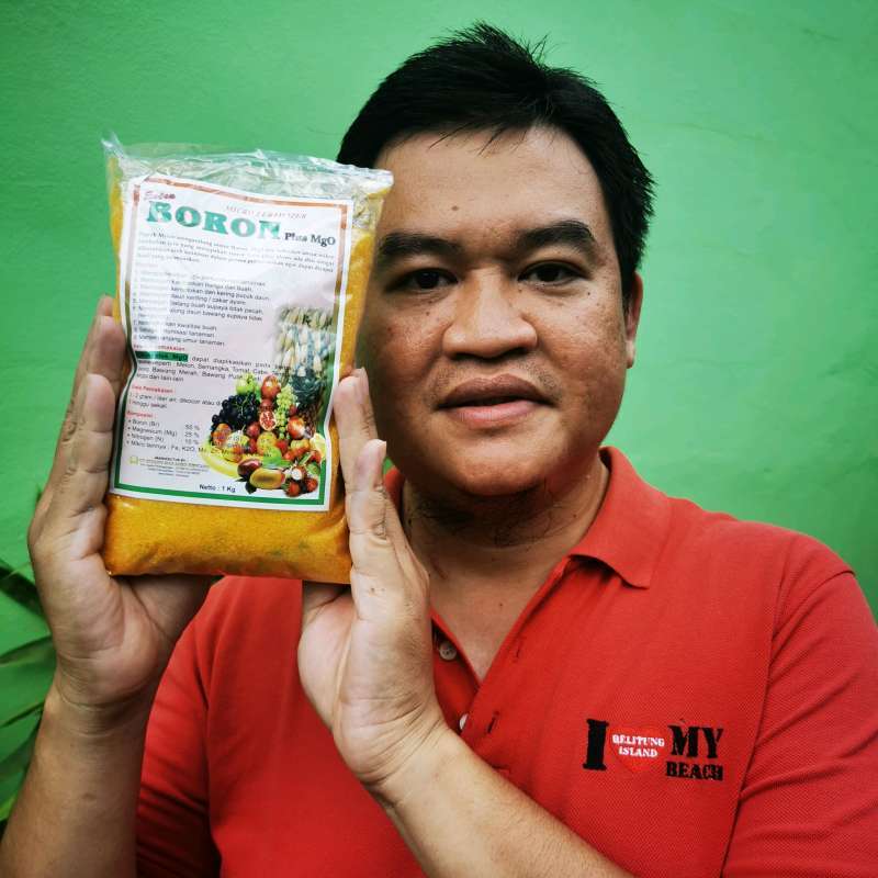 Jual Pupuk Boron Plus MgO 1KG Penghobi Wajib Punya di Seller HiipHooray ...