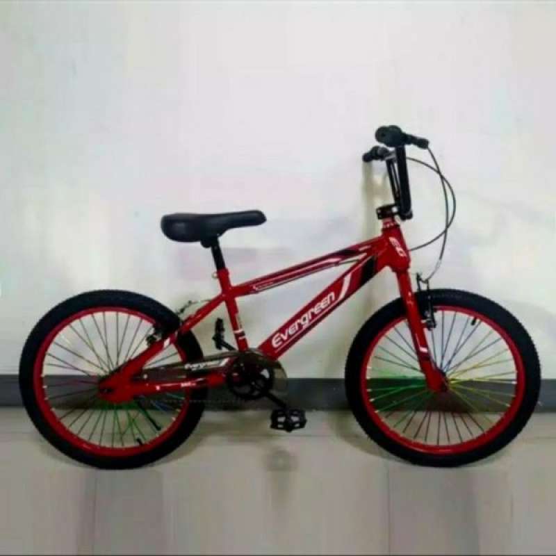 Jual Sepeda Anak Laki BMX Evergreen 20 inch Classic 20 B1 di Seller ...