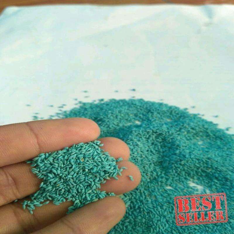 Jual Biji Rumput Lapangan Sepak Bola / Biji Rumput Stadion Di Seller ...