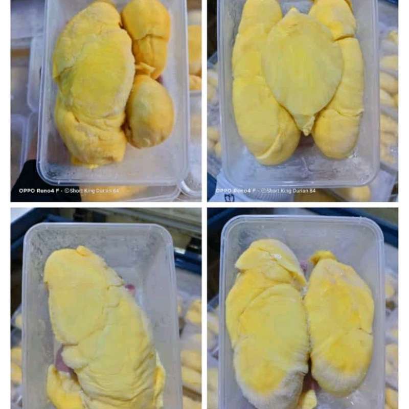 Jual Durian Montong Palu Halal di Seller AMSAIZ FROZEN - Mekarsari, Kota Depok | Blibli