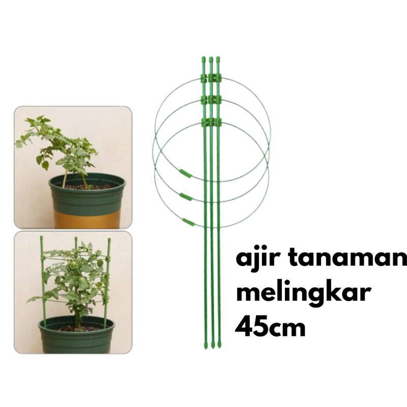 Jual AJIR TANAMAN MELINGKAR rak penyangga tanaman merambat ukuran 45 cm ...
