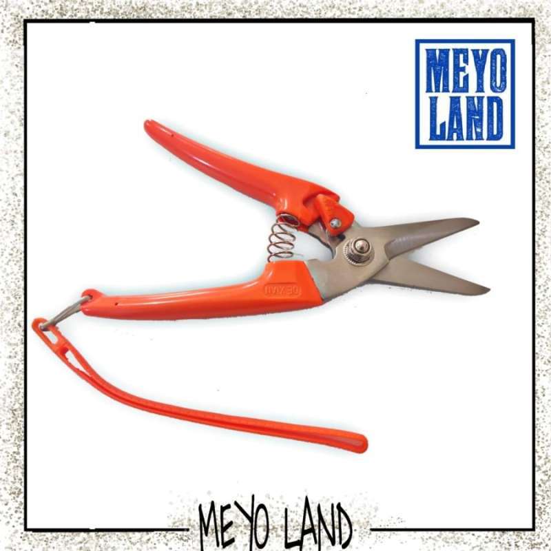 Jual GUNTING Dahan Ranting PREMIUM LURUS Kebun Kayu Garden Tools ...