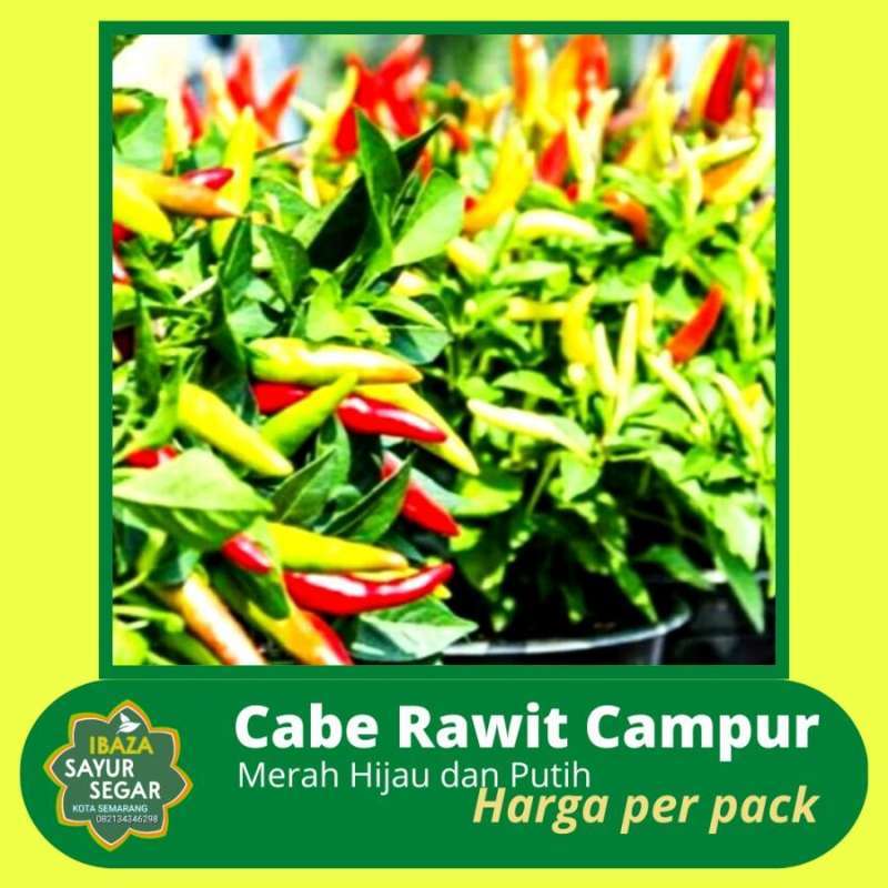 Jual Sayur Sayuran Segar - Cabe Rawit Mix (campur) Merah Putih Hijau di ...