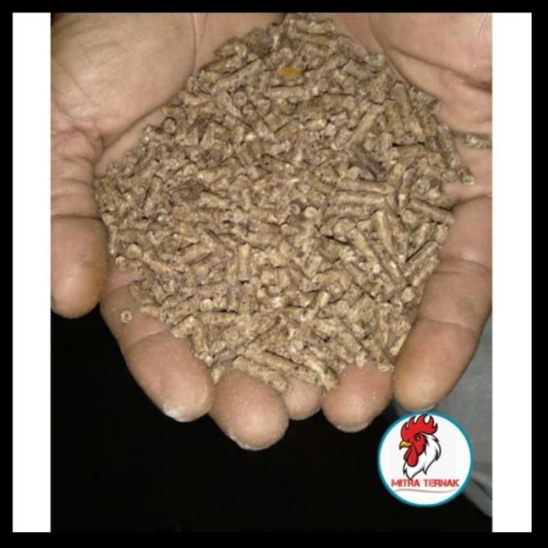 Promo Ready Pakan Kuda X-Tra Pro (40Kg) Untuk Kuda Tunggang Dewasa ...