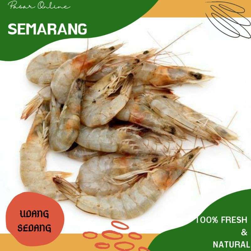 Jual Udang Sedang / Segar / Fresh / Belanja Ikan Semarang / Murah ...