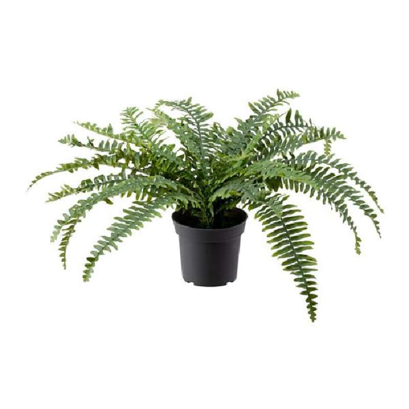 Jual Ikea Paku Pakis Bunga Artificial - - Hijau di Seller IKEA LIFE ...