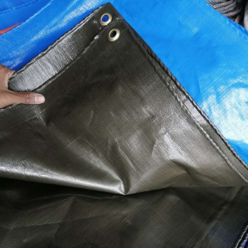 Jual Terpal Plastik A20 Korea | Ukuran 4x2 Meter Di Seller Relentless ...