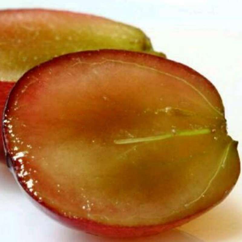 Promo Buah Anggur Merah Crimson Tanpa Biji 1kg Diskon 1% di Seller Good ...