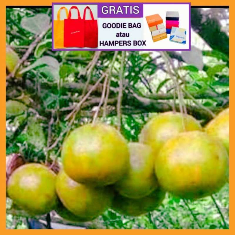 Jual Buah Jeruk Siam Banyuwangi Manis - Buah Segar Ibaza Fruitbox Di ...