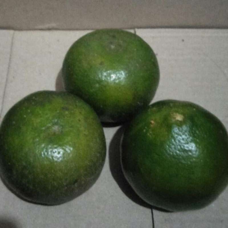 Jual Buah Jeruk Siam Banyuwangi Manis - Buah Segar Ibaza Fruitbox Di ...