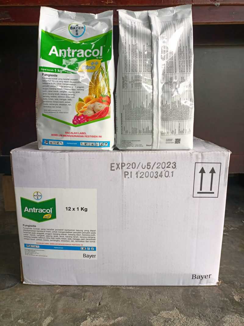 Jual FUNGISIDA ANTRACOL 70WP 1KG di Seller Inti Pertanian - Sampali ...