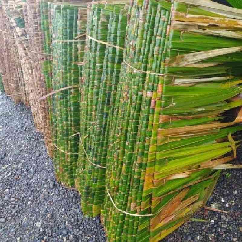 Jual Atap Dahon Gazebo Natural - Atap Dahon Rumbia 5 Pcs di Seller ...