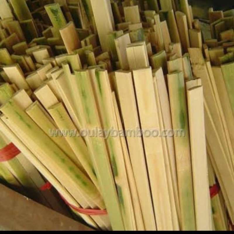 Jual Bilah Bambu - Ajir Tanaman Bambu 200Cm di Seller HIDAYAT STORE IND ...