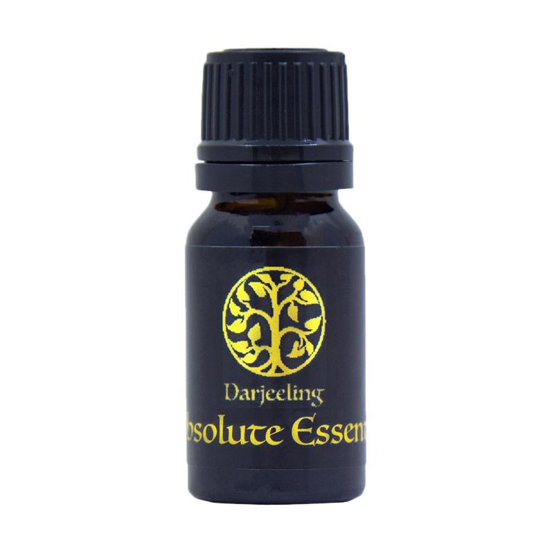 Jual Darjeeling Rose Otto Absolute Oil Minyak Mawar 100% Murni Absolute ... Jual Darjeeling Rose Otto Absolute Oil Minyak Mawar 100% Murni Absolute ...